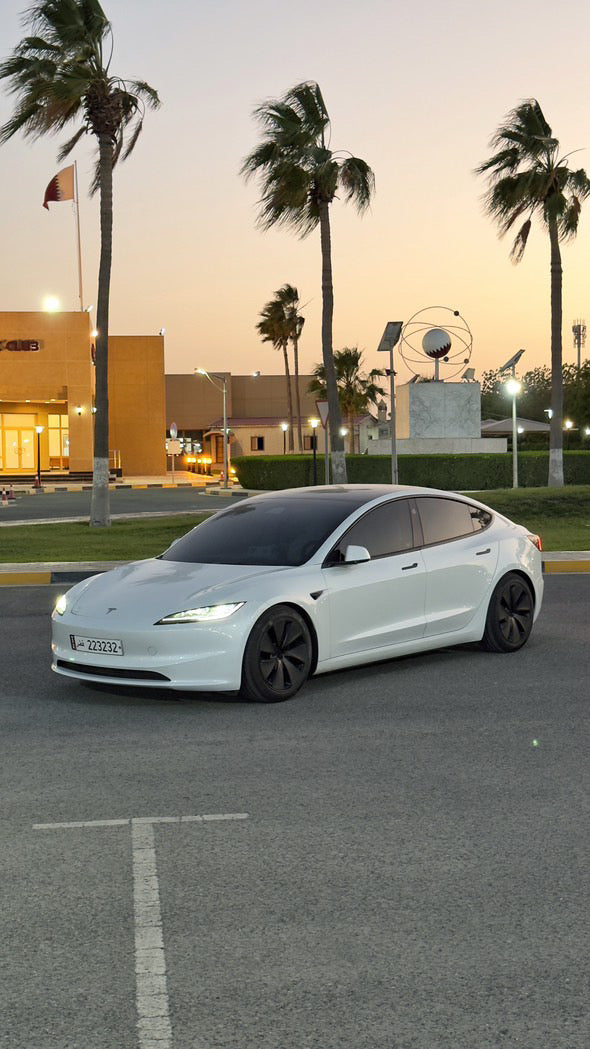 Perfect Stance Kit for Highland Model 3 Standard & Long Range – MODEL+